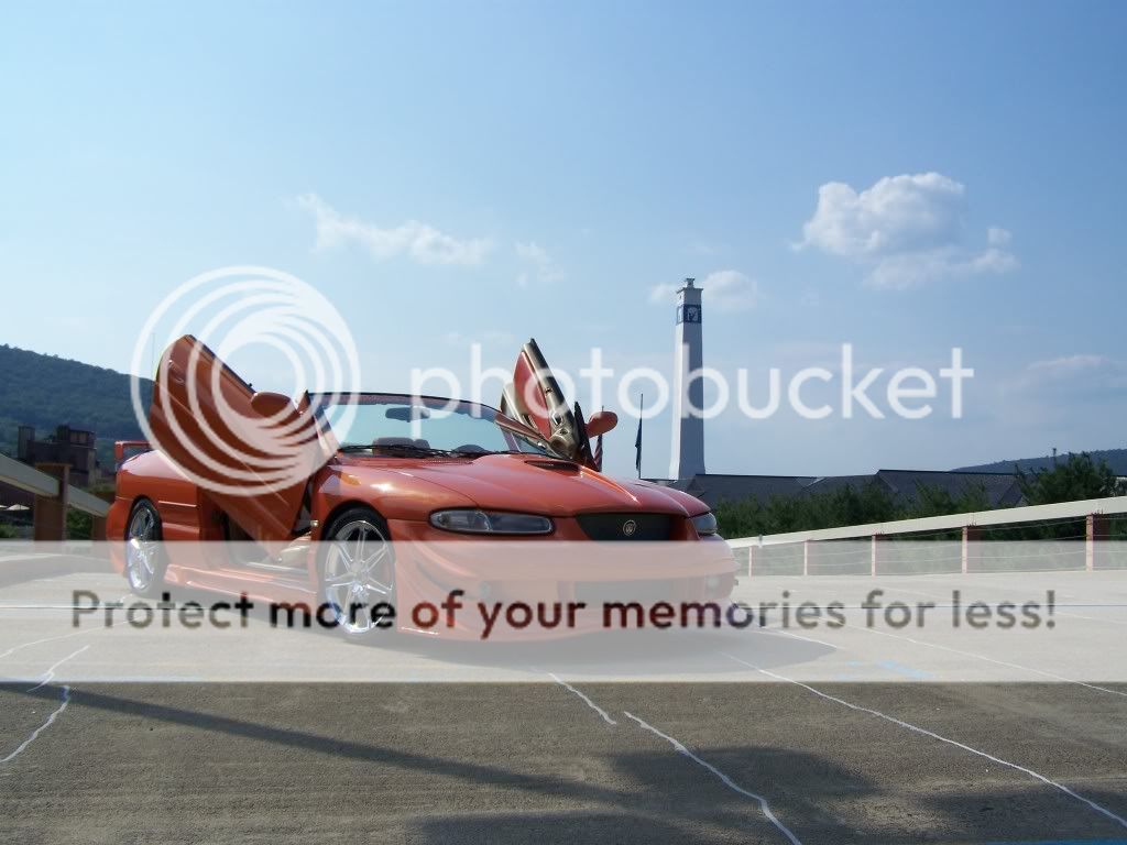 beat of a different drummer... | Veloster Forum