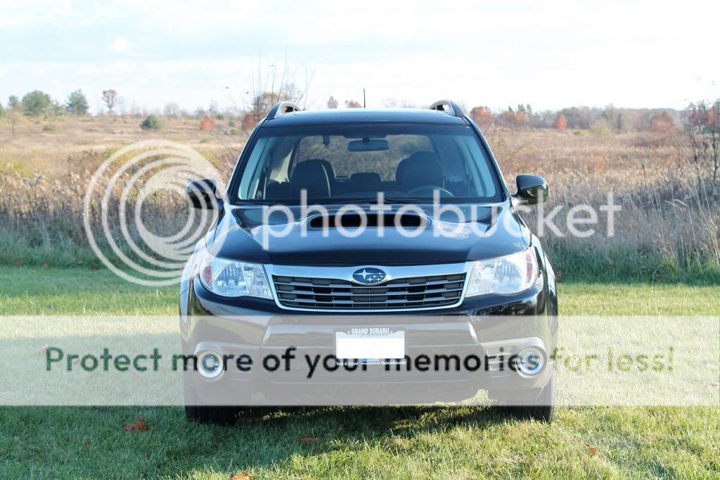 Photoshoot with 2010 FXT (IL) | Subaru Forester Owners Forum